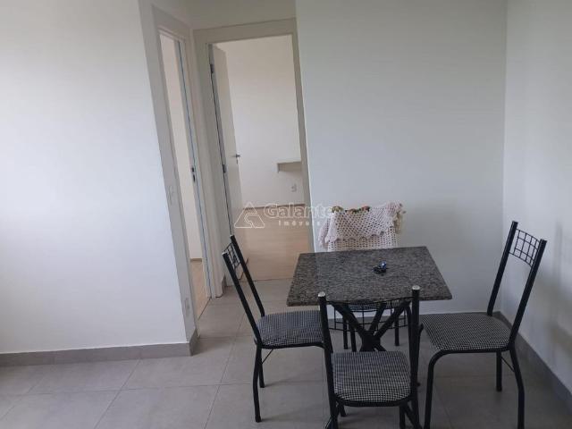 Apartamento para alugar com 02 quartos no Parque Fazenda