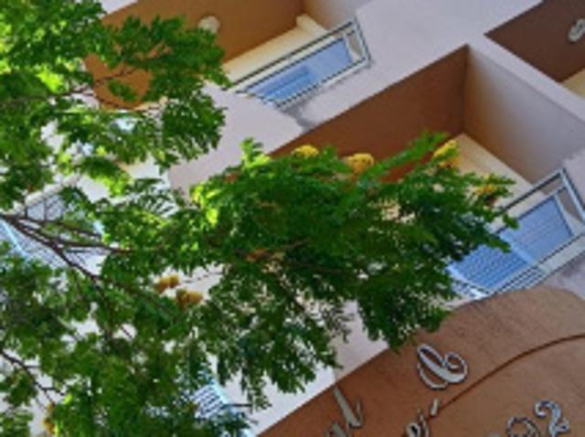 Apartamento para alugar com 1 Suíte + 1 Quarto em Zona 07, Maringá PR
