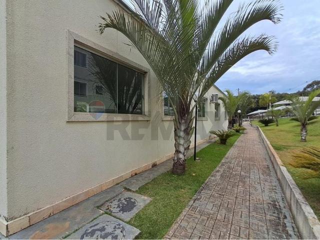 Apartamento para alugar com 2 dormitorios