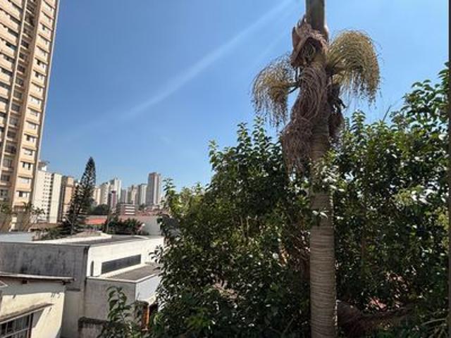 Apartamento para alugar com 38m², 1 quarto e sem vaga