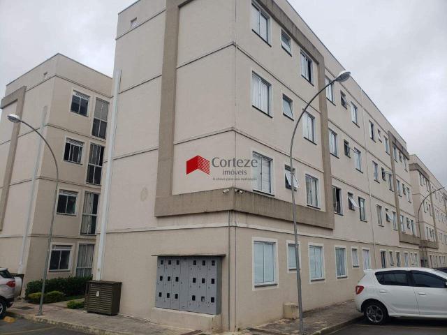 Apartamento para Alugar, Colonia Rio Grande, São José dos Pinhais, 39m² área util, R$ 1.500 | PI: 3526712