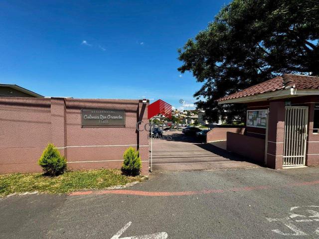 Apartamento para Alugar, Colonia Rio Grande, São José dos Pinhais, 41m² área util, R$ 1.300 | PI: 3535316