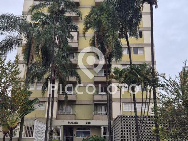 Apartamento para alugar em Campinas, Cambuí, com 3 quartos, com 85 m², Malibu