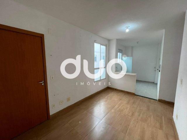 Apartamento para alugar, Jardim São Francisco Piracicaba/SP