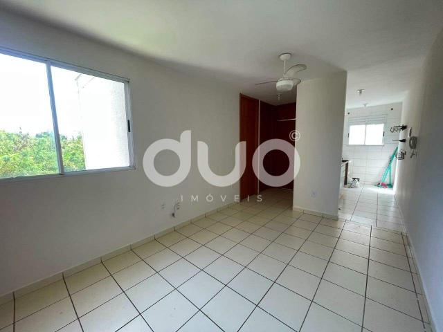 Apartamento para alugar, Jardim Parque Jupiá Piracicaba/SP