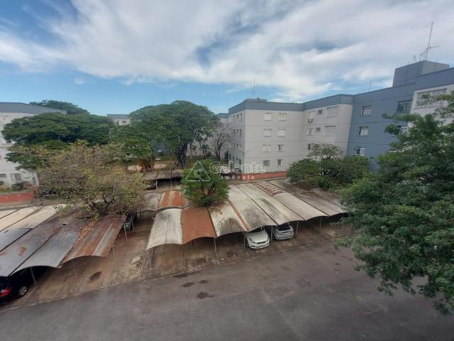 Apartamento para alugar no Vila Mimosa em Campinas