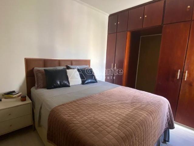 Apartamento para alugar no Vila Itapura em Campinas