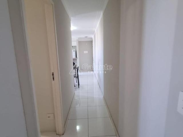 Apartamento para alugar no Vila João Jorge em Campinas