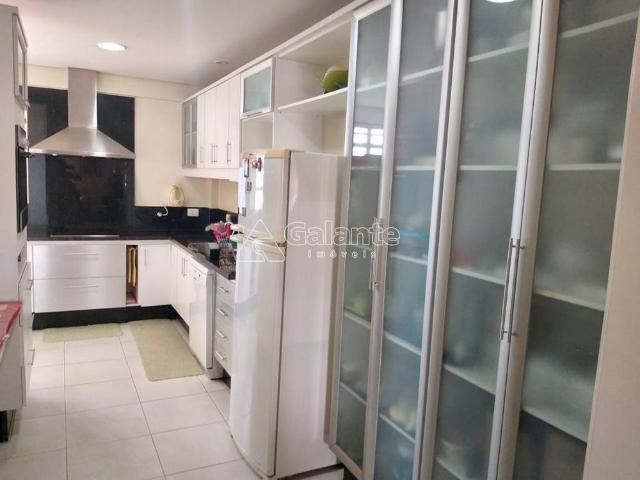 Apartamento para alugar no Bonfim em Campinas