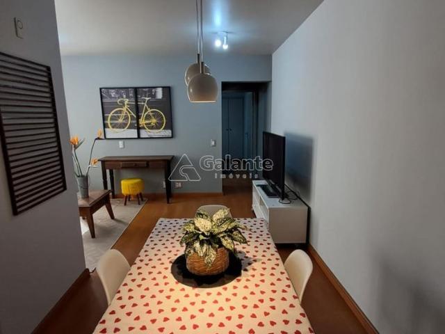 Apartamento para alugar no Cambuí em Campinas