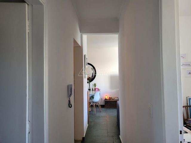 Apartamento para alugar no Cambuí em Campinas