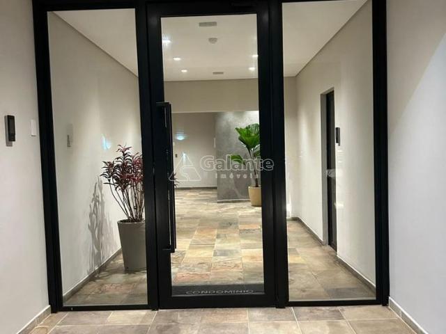 Apartamento para alugar no Cambuí em Campinas