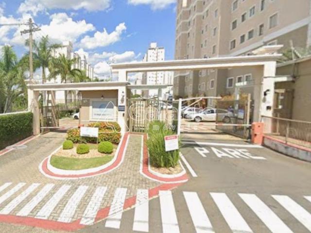 Apartamento para alugar no Jardim Nova Europa em Campinas