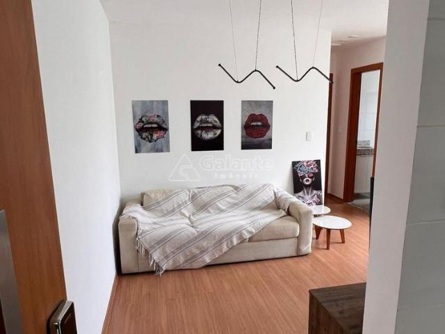 Apartamento para alugar no Jardim Nova Europa em Campinas