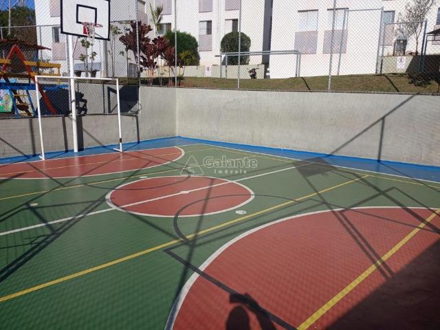 Apartamento para alugar no Jardim São Vicente em Campinas