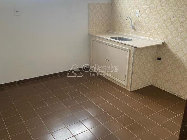 Apartamento para alugar no Jardim Proença em Campinas