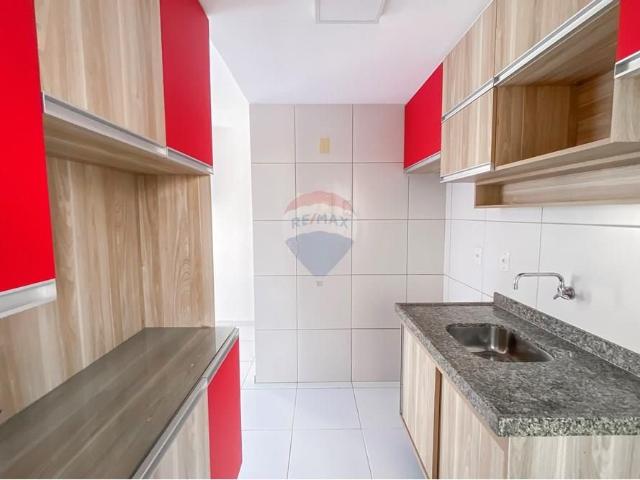 Apartamento para alugar no Parque das Árvores 2