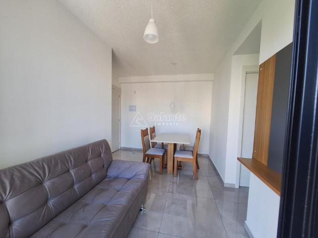 Apartamento para alugar no Residencial Parque da Fazenda em Campinas