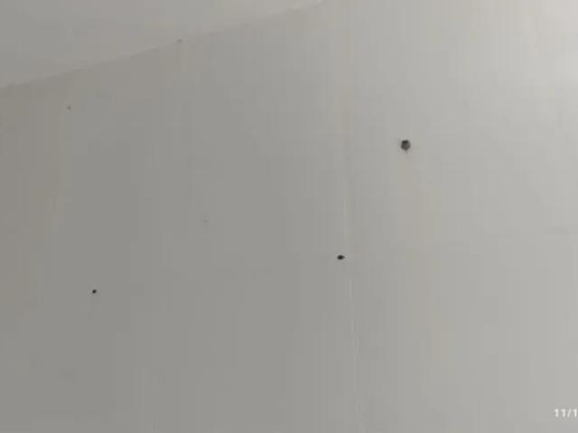 Apartamento para comprar Minascaixa Belo Horizonte