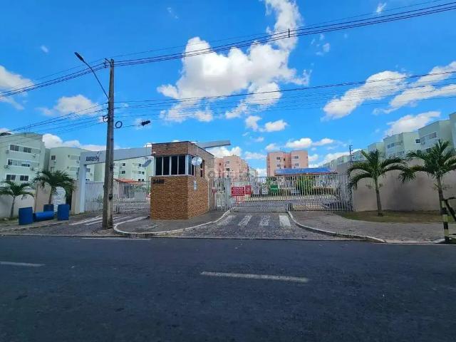Apartamento para Locação em Teresina/PI Novo Horizonte 3 Quartos