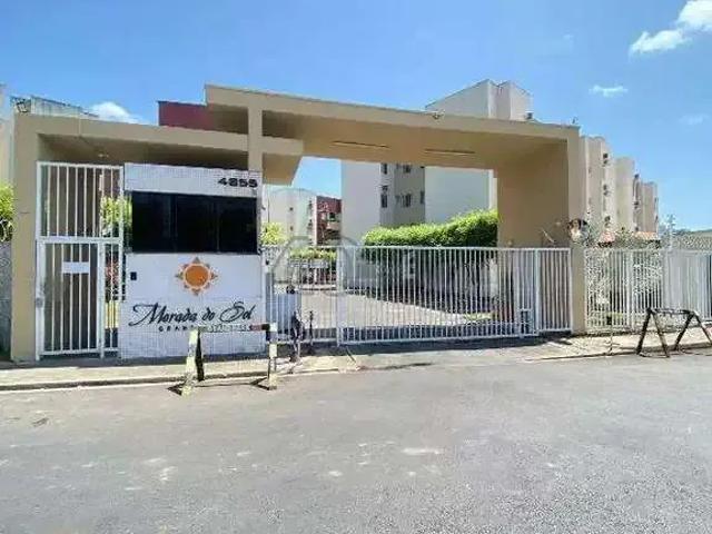 Apartamento para Locação em Teresina/PI Campestre 1 Quartos
