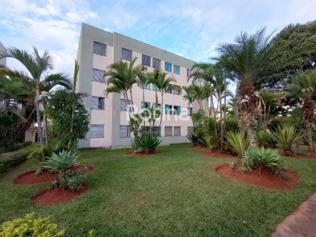 Apartamento para Locação em Uberlândia/MG Alto Umuarama 3 Quartos