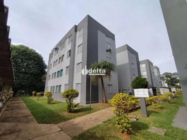 Apartamento para Locação em Uberlândia/MG Alto Umuarama 3 Quartos