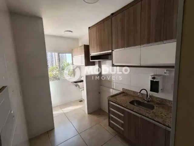 Apartamento para Locação em Uberlândia/MG Alto Umuarama 3 Quartos