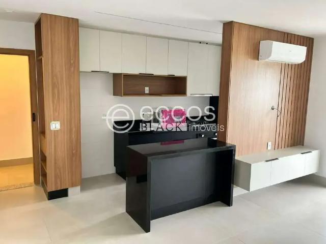 Apartamento para Locação em Uberlândia/MG Jardim Sul 2 Quartos