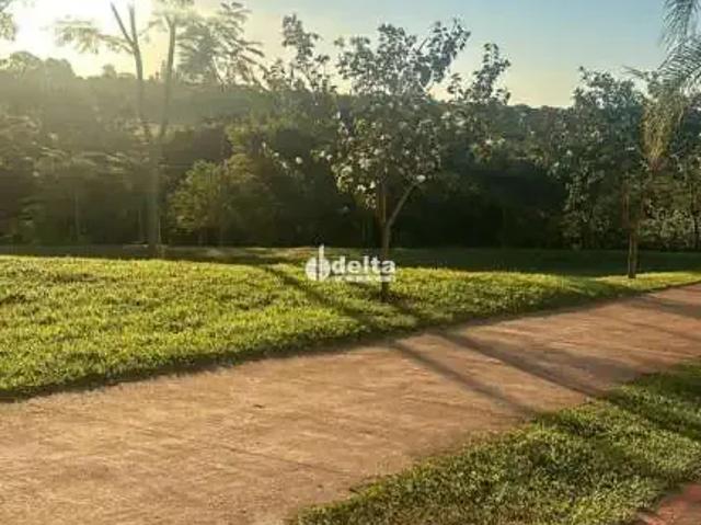 Apartamento para Locação em Uberlândia/MG Loteamento Portal do Vale II 2 Quartos