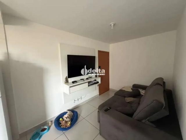 Apartamento para Locação em Uberlândia/MG Laranjeiras 2 Quartos