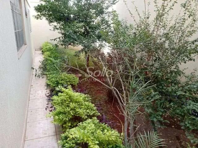 Apartamento para Locação em Uberlândia/MG Maracanã 3 Quartos