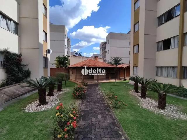 Apartamento para Locação em Uberlândia/MG Santa Mônica 3 Quartos