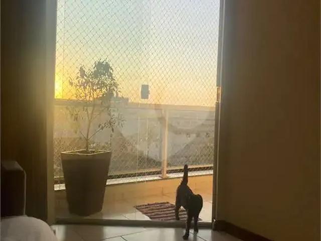Apartamento para Locação em Volta Redonda/RJ Jardim Amália 2 Quartos
