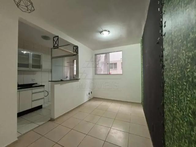 Apartamento para Locação em Americana/SP Jardim Progresso 2 Quartos