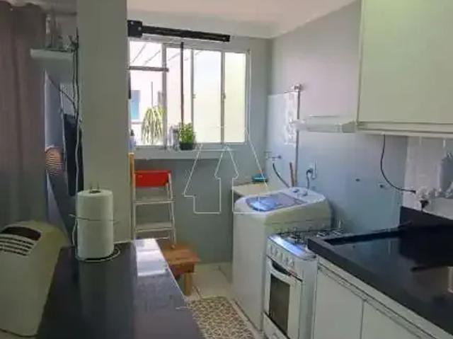 Apartamento para Locação em Araçatuba/SP Umuarama 2 Quartos