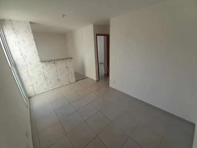 Apartamento para Locação em Araçatuba/SP Santa Luzia 2 Quartos