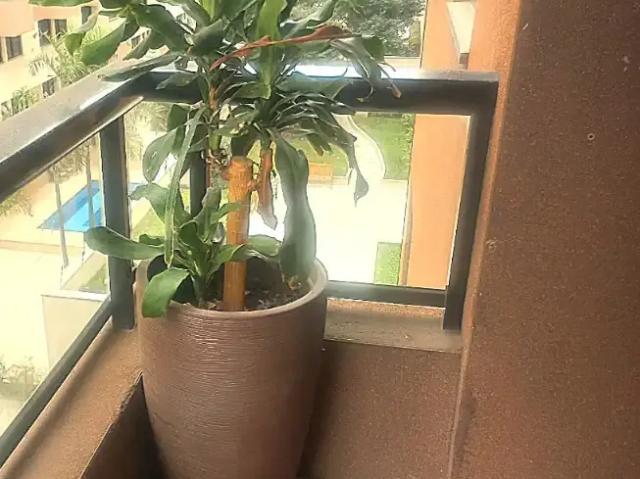 Apartamento para Locação em Barueri/SP Alphaville Centro Industrial e Empresarial/Alphaville. 3 Quartos