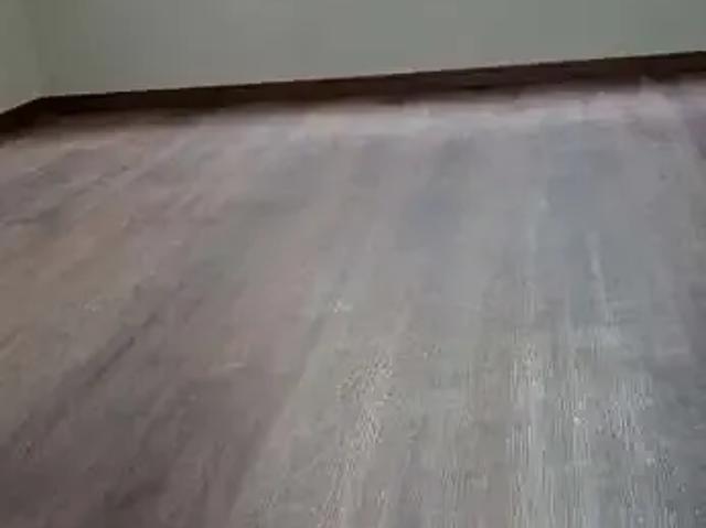 Apartamento para Locação em Belo Horizonte/MG Padre Eustáquio 3 Quartos