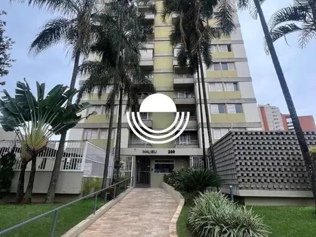 Apartamento para Locação em Campinas/SP Cambuí 3 Quartos