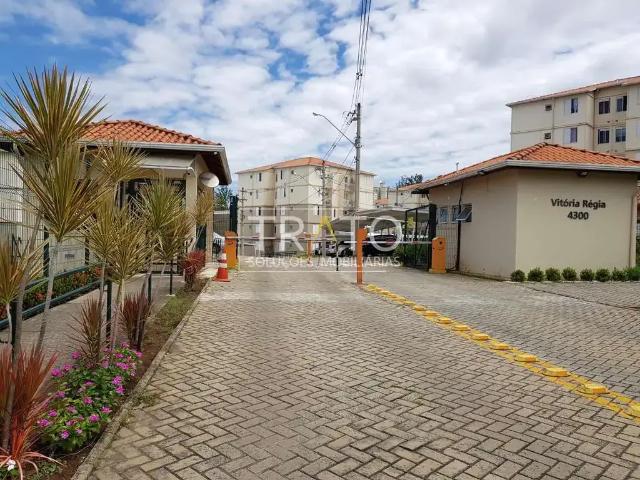 Apartamento para Locação em Campinas/SP Parque Prado 3 Quartos