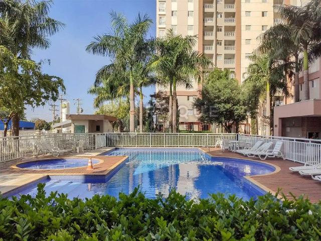 Apartamento para Locação em Limeira/SP Desmembramento Oscar Antonio Breda 3 Quartos