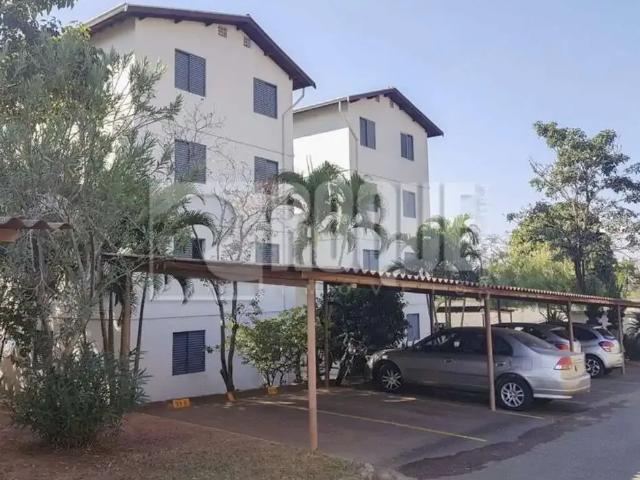 Apartamento para Locação em Limeira/SP Itaipu 3 Quartos