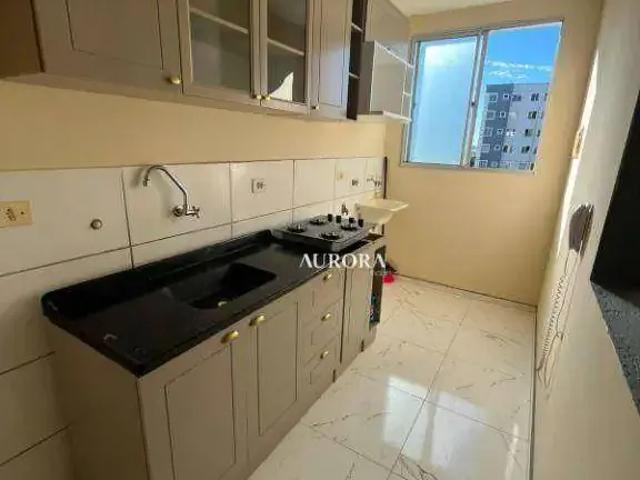 Apartamento para Locação em Londrina/PR Gleba Fazenda Palhano 2 Quartos