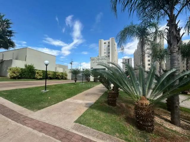 Apartamento para Locação em Londrina/PR Jardim Lago Norte 2 Quartos