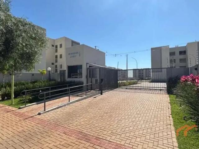 Apartamento para Locação em Londrina/PR Jardim Maria Celina 2 Quartos