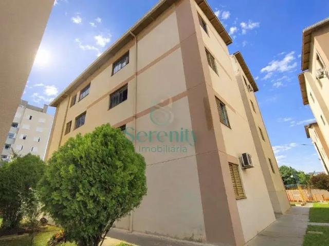 Apartamento para Locação em Londrina/PR Parque Jamaica 3 Quartos