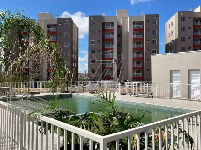 Apartamento para Locação em Londrina/PR Perobinha 2 Quartos