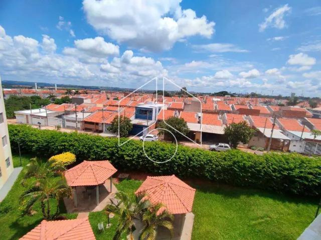 Apartamento para Locação em Marília/SP Altos da Colina 3 Quartos