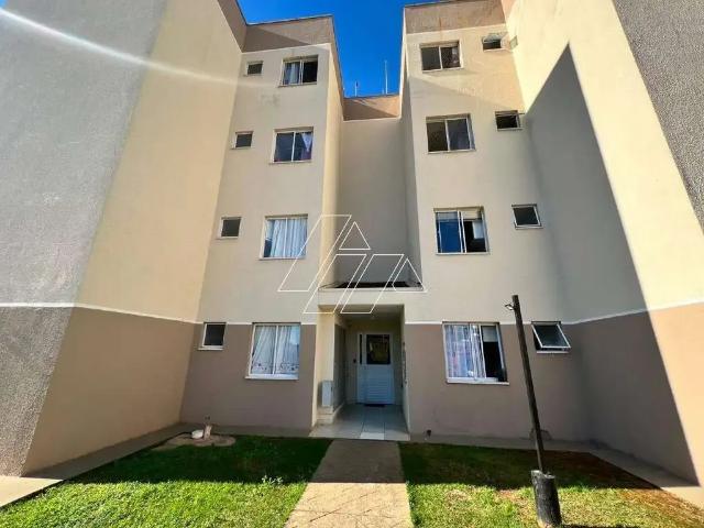 Apartamento para Locação em Marília/SP Jardim Monte Castelo 2 Quartos